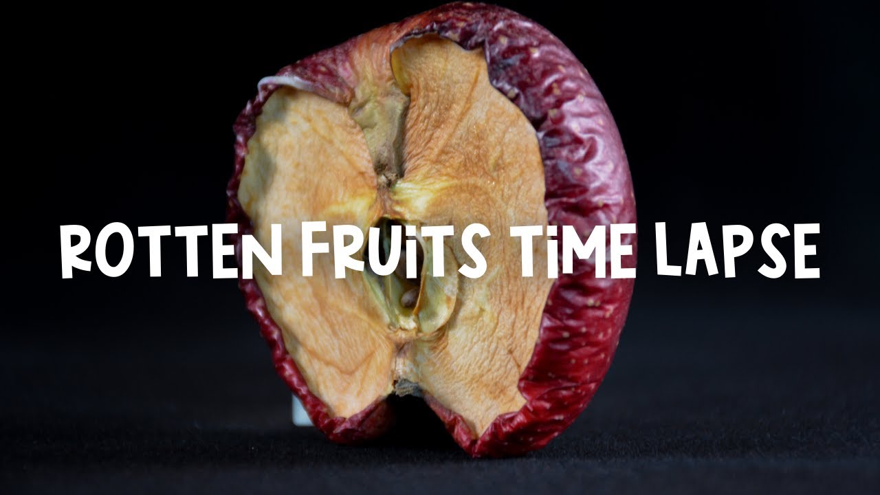 Fruit Time Lapse Video | Rotten Fruit Time-Lapse | Development of Mold | Just For Fun - YouTube