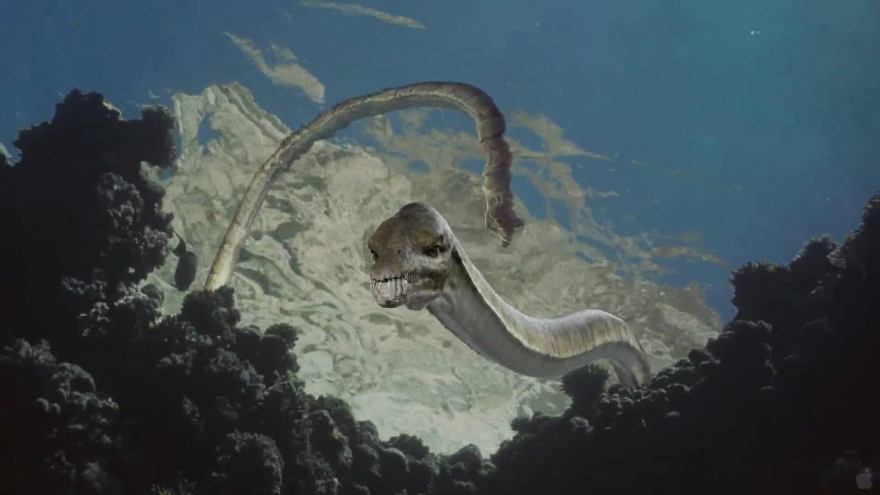 Sea Rex 3D - Official Trailer HD - YouTube