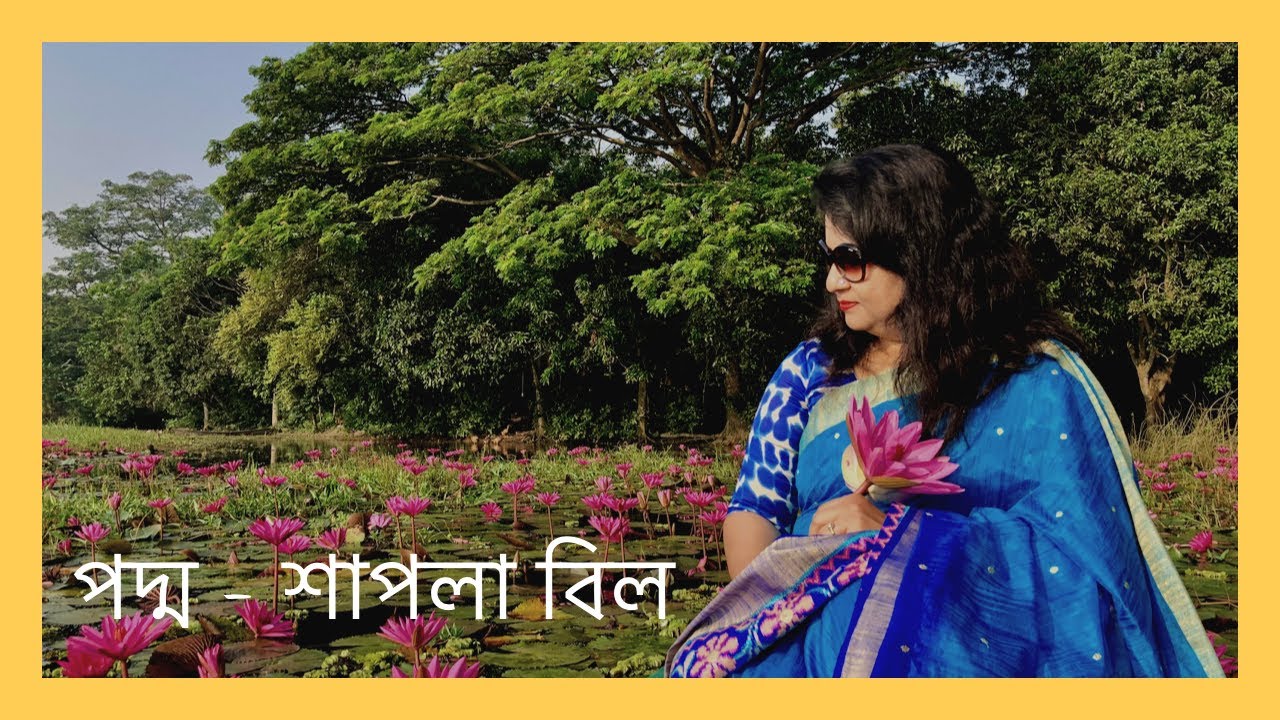 Padma Shapla Bill I Padma Shapla Resort | Rupganj | পদ্ম শাপলা বিল রুপগঞ্জ । পদ্ম শাপলা রিসোর্ট ...
