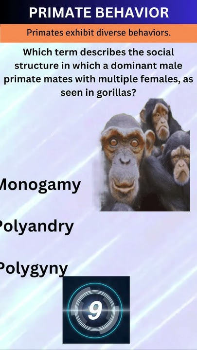 Primate Behavior || Biological Anthropology || #anthropology - YouTube