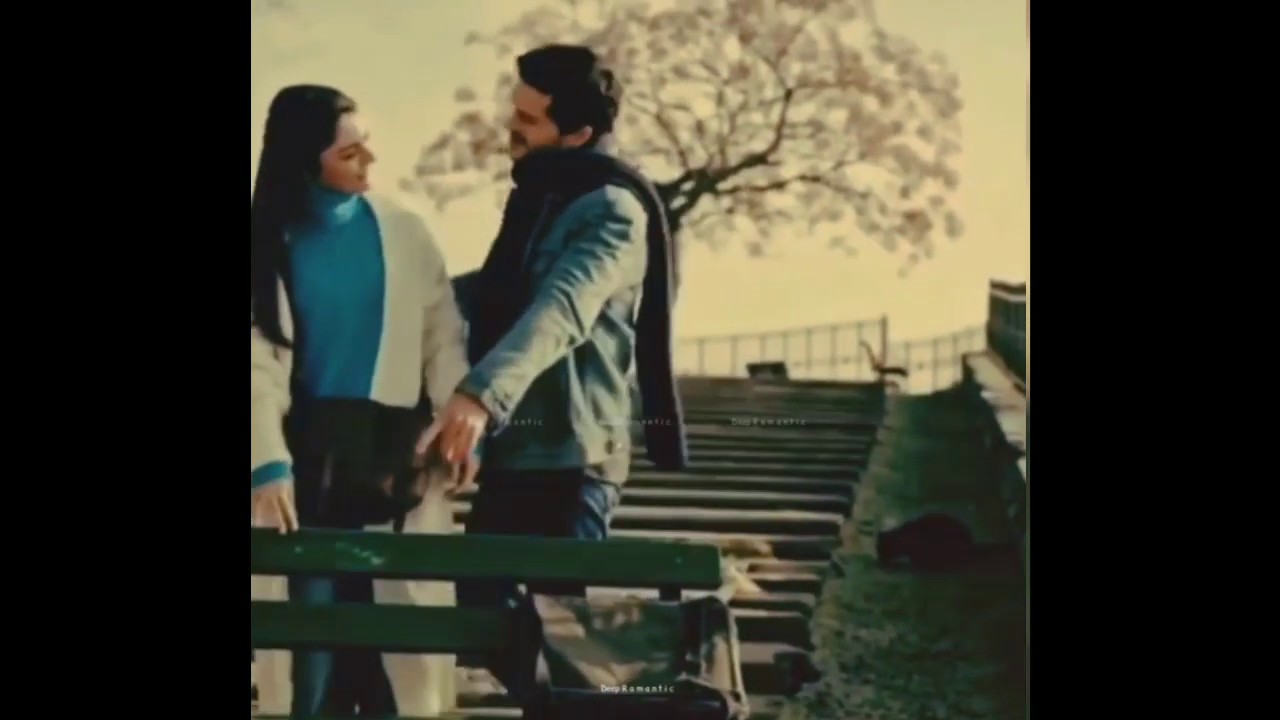 Couple 🥰Status || Cute Couple Goals WhatsApp Status || Love Status ...