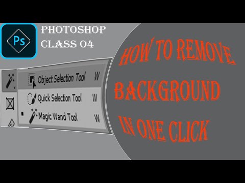 remove background /object selection tool /quick selection tool /magic ...