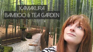 Relaxing Tea and Bamboo Garden in Kamakura, Japan