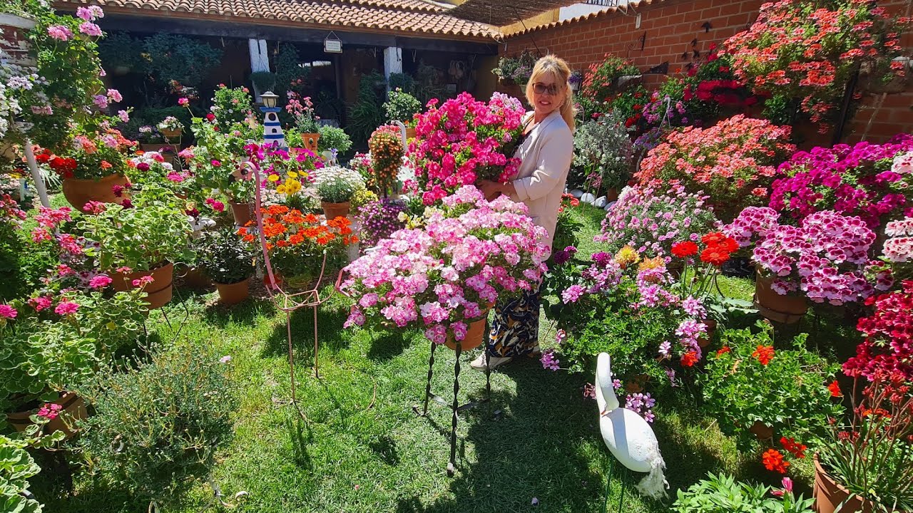 ¡Acompañame! Te enseño mi hermoso jardín. 💐 - YouTube