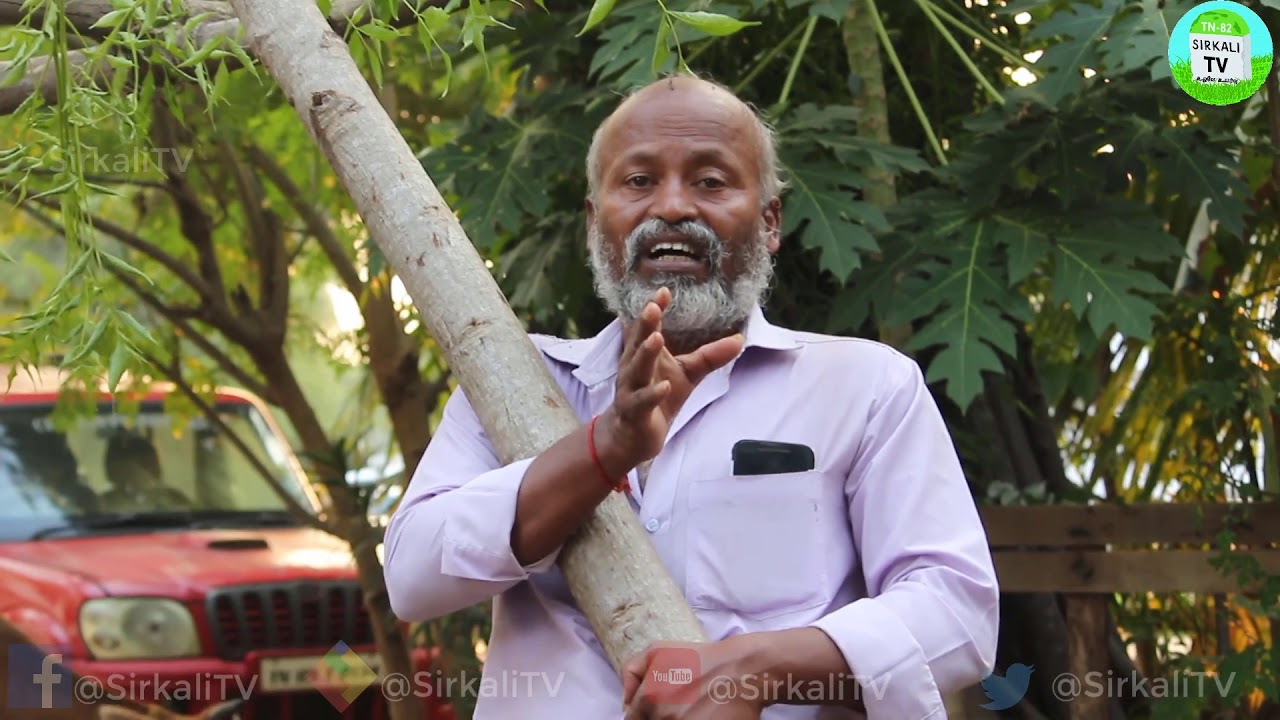 சீக்கிரம் மரம் வளர்ப்பது எப்படி? மரம் வளர்ப்பின் நன்மைகள் | How to grow ...