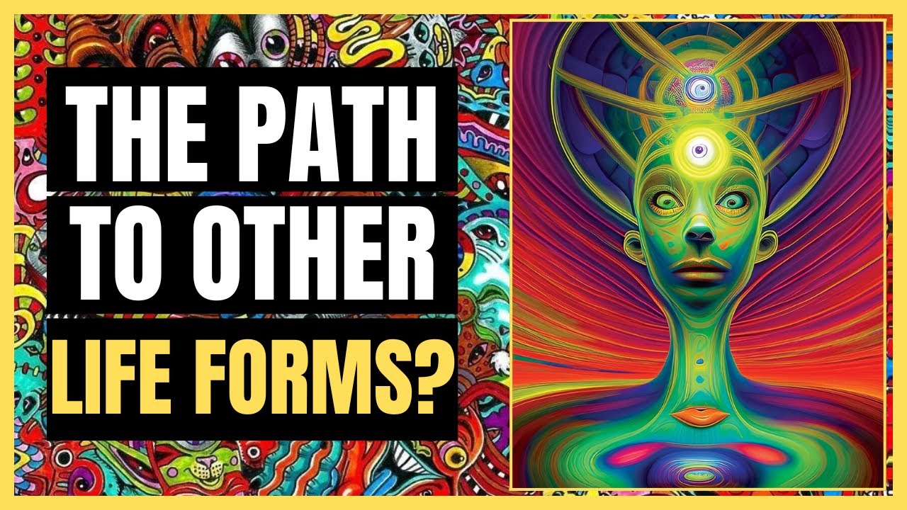 Aliens Await? The SHOCKING Power Of DMT Revealed | Neuropharmacologist ...