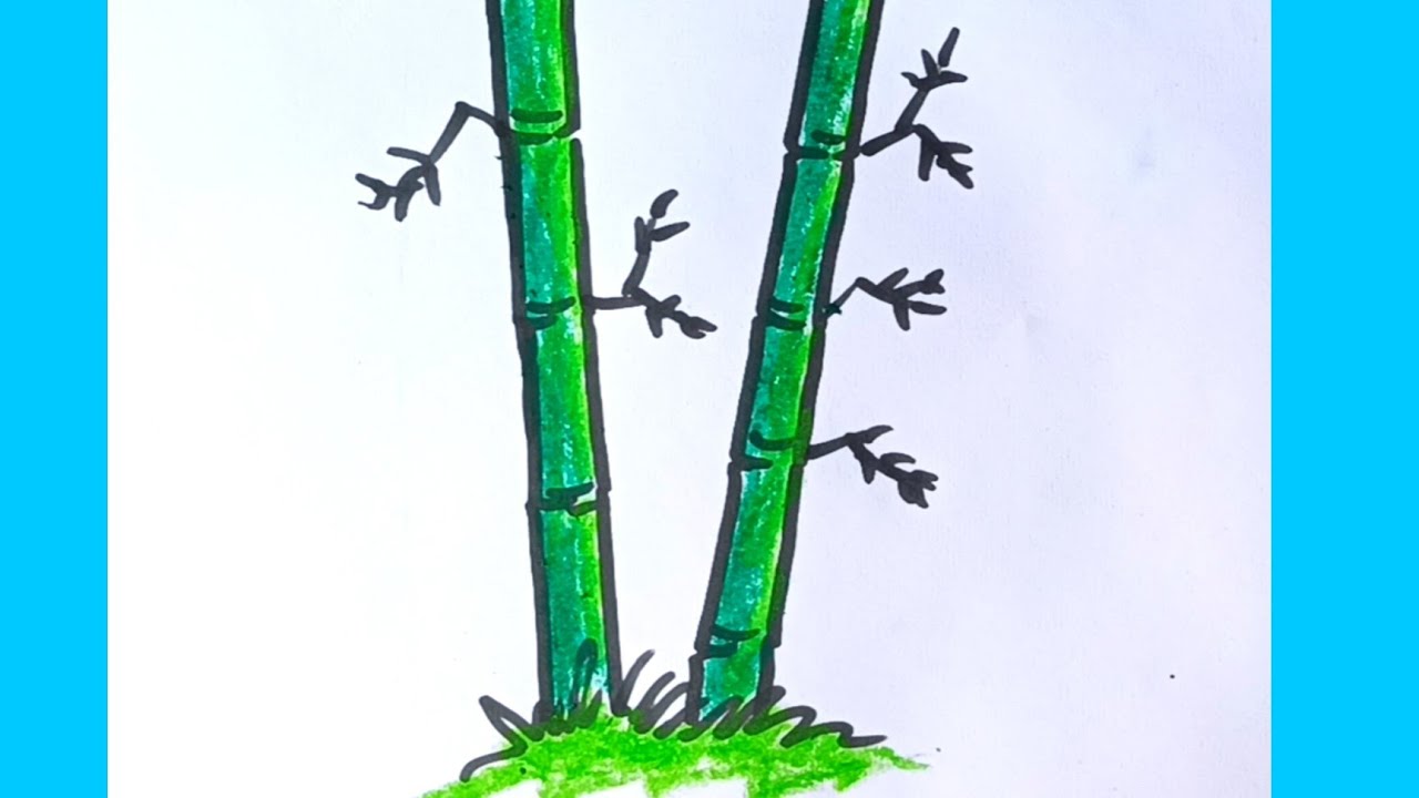 How To Draw Bamboo Tree / Bamboo tree drawing - YouTube