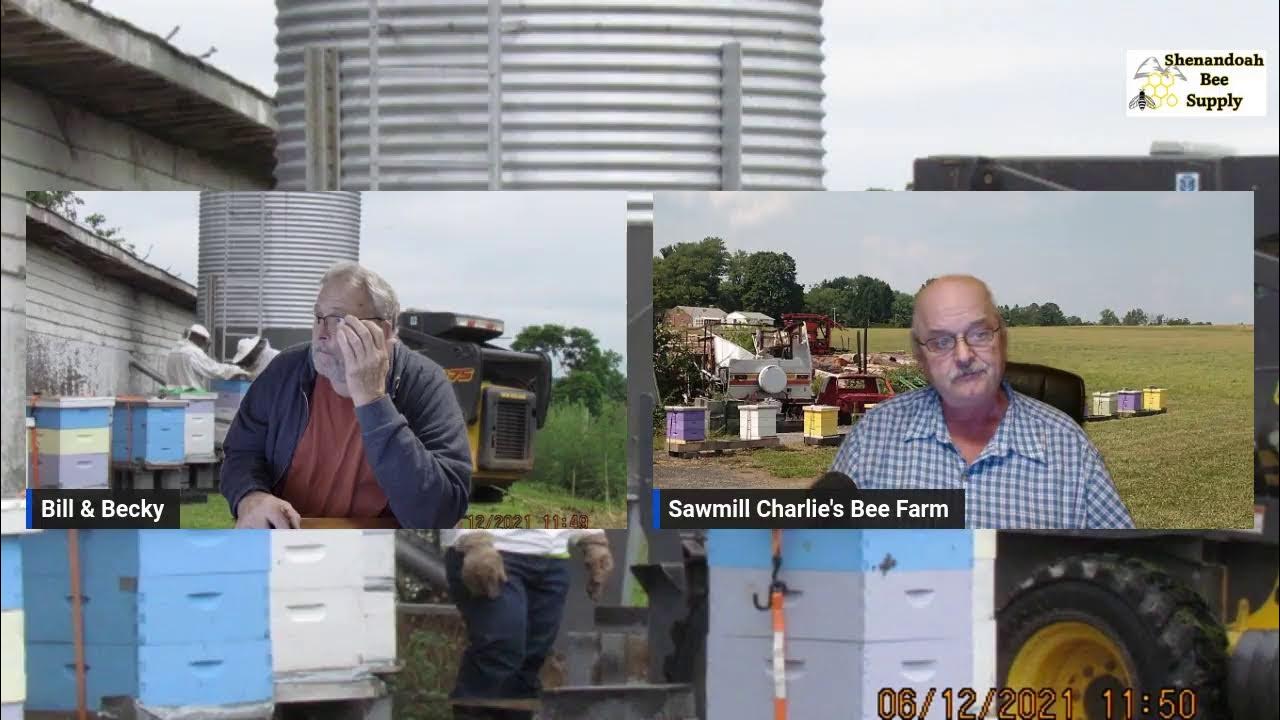 Bees All Day - YouTube