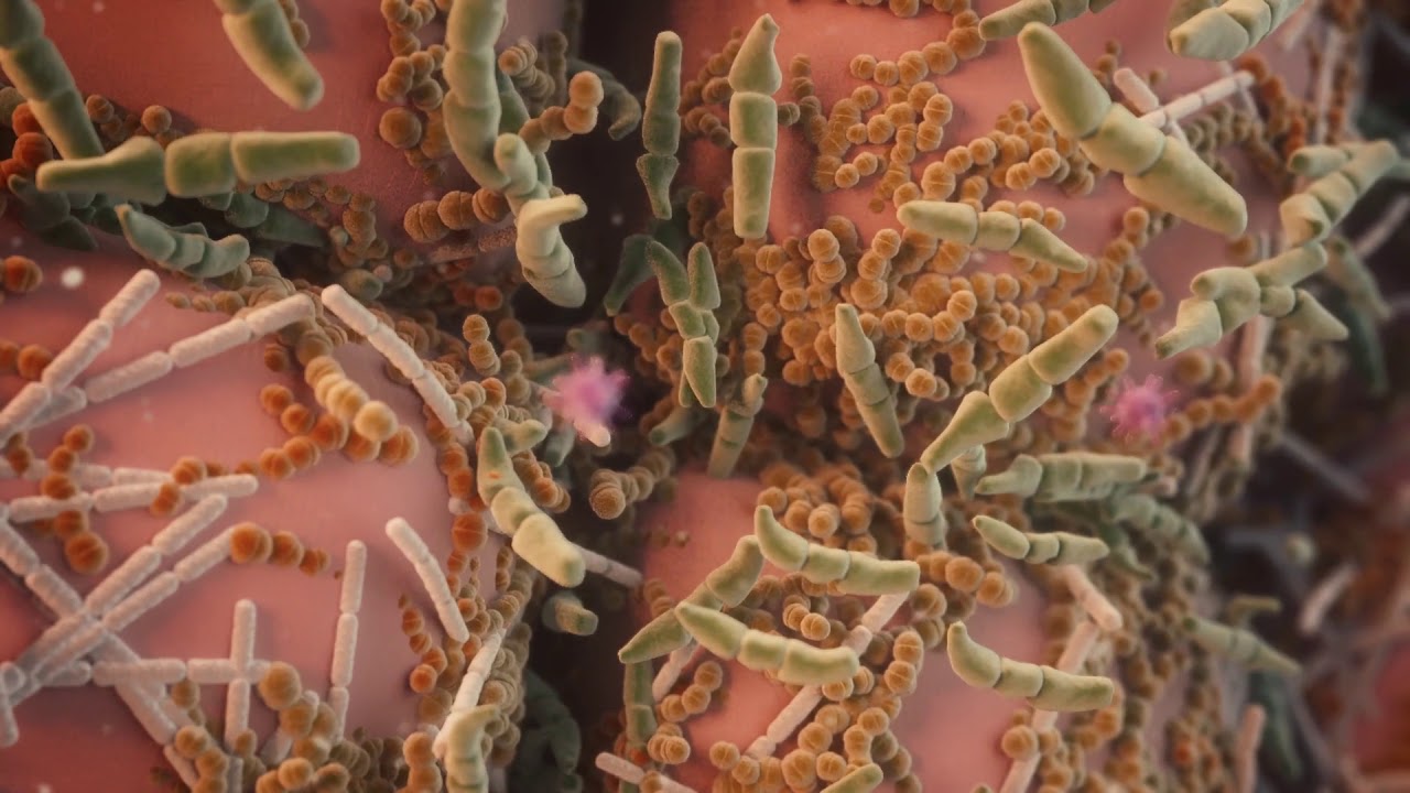 Animation for Danone - YouTube