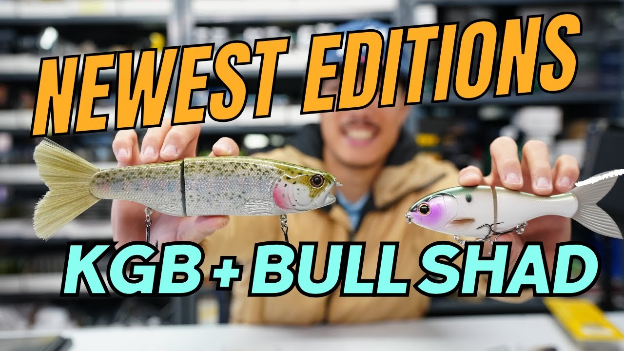 Swimbait Craze is Taking Over the Fishing Industry - YouTube