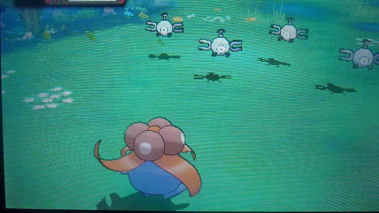 [PokemonRosa] magnéti shiny en horde #11 - YouTube