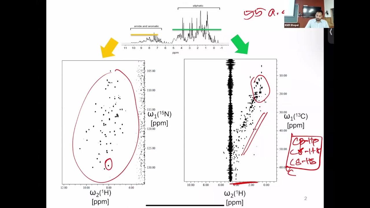 Lecture 30 | NMR Course 2023-24-1 | 3D NMR to elucidate sequential assignment of proteins - YouTube