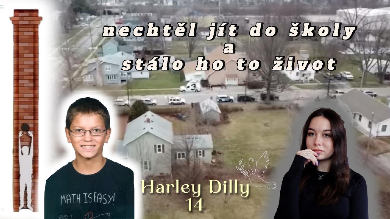 Harley Dilly a jeho příběh🕊️ - YouTube