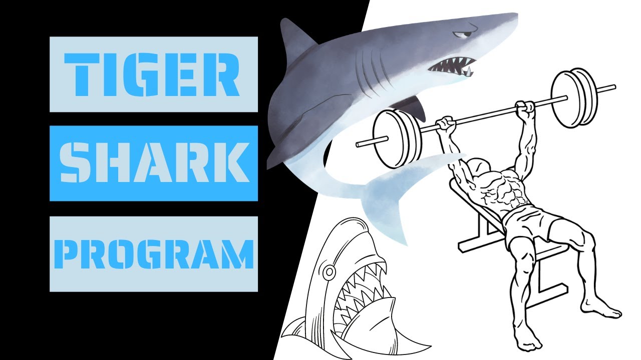 Tiger Shark 6 Week Bench Press Program Review - YouTube