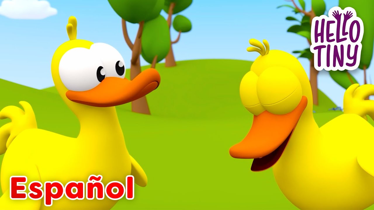 Seis patitos 🐥 | Hello Tiny en Español | Canciones infantiles para ...