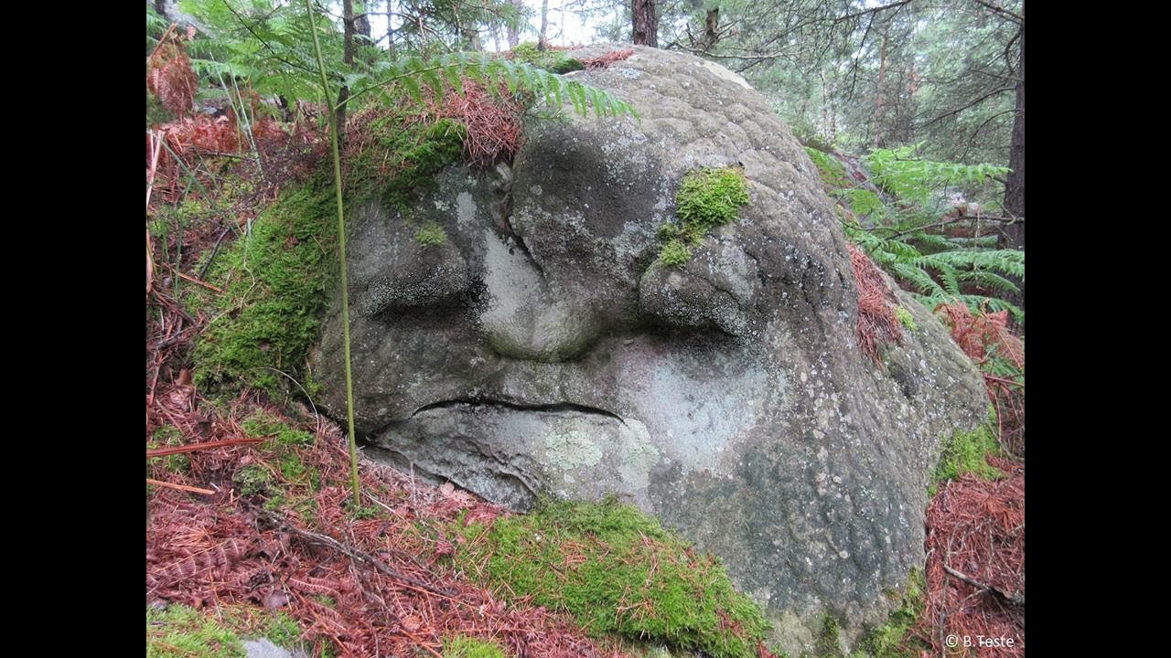 Extraordinary Soft Tissue Fossils Prove Our Past - YouTube