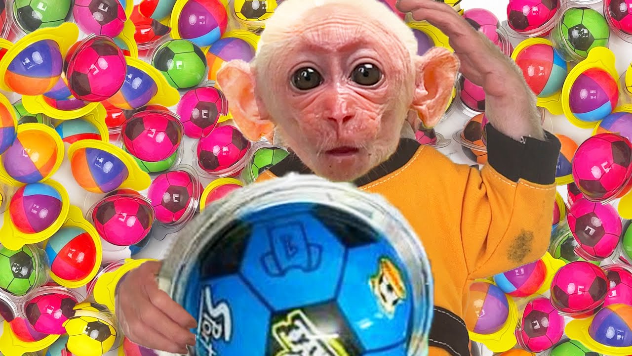 Bon Bon baby monkey cleans the house and eats giant marbles - YouTube