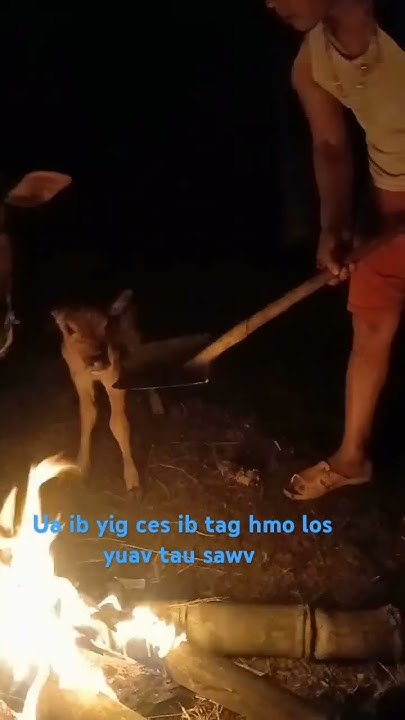 Nyuj yug #me nyuam # ua ib yig ces ib tag hmo los yuav tau sawv# - YouTube