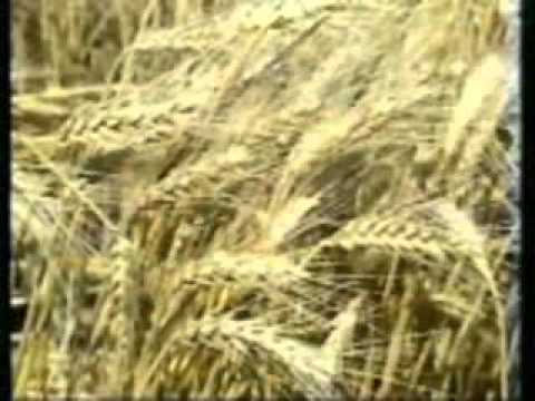 BAYBURT İL KÜLTÜRü..wmv