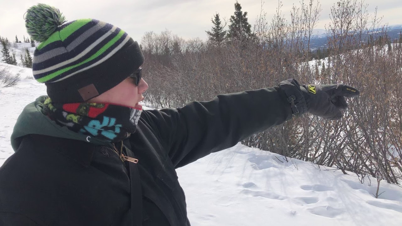 moosetracks - YouTube