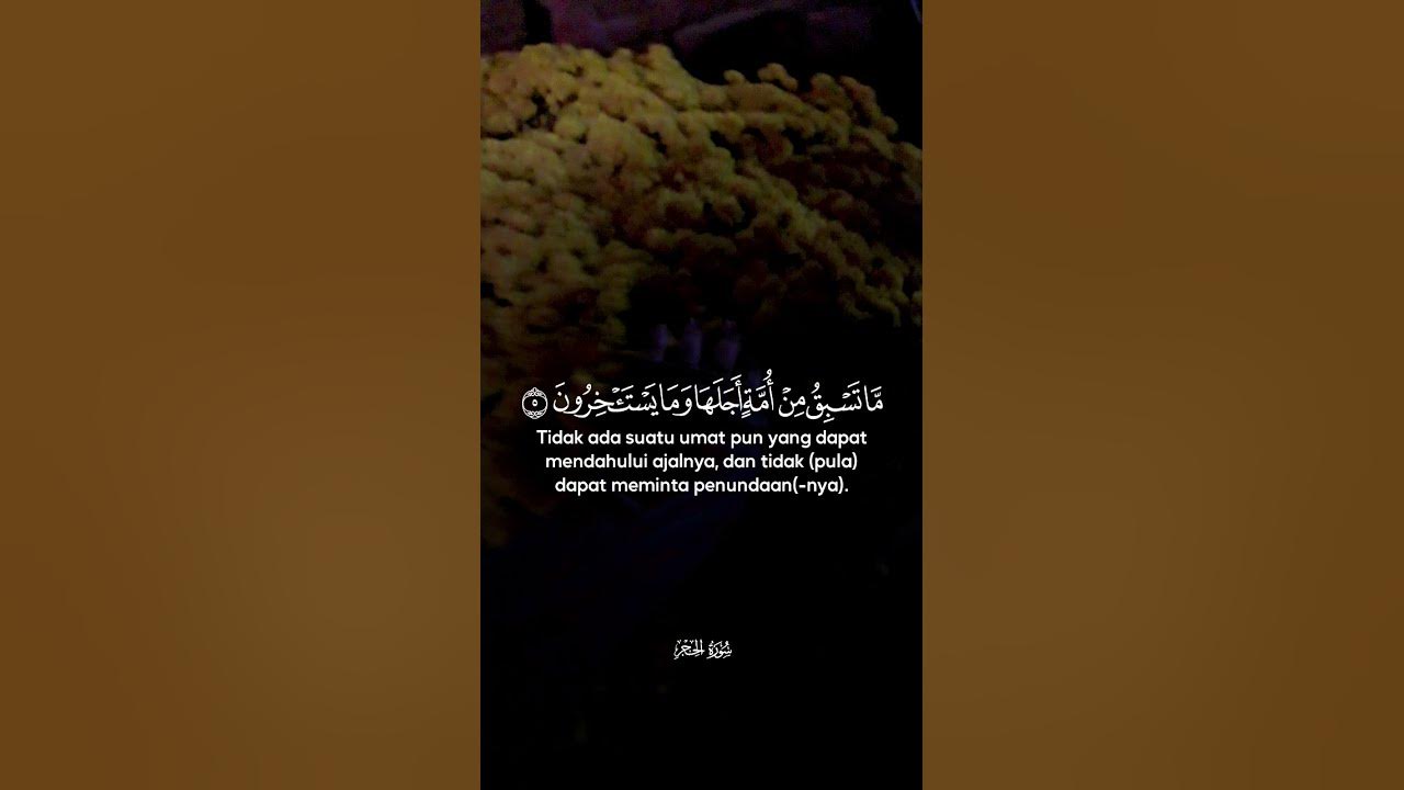 ربما يود الذين كفروا لو كانوا مسلمين Youtube