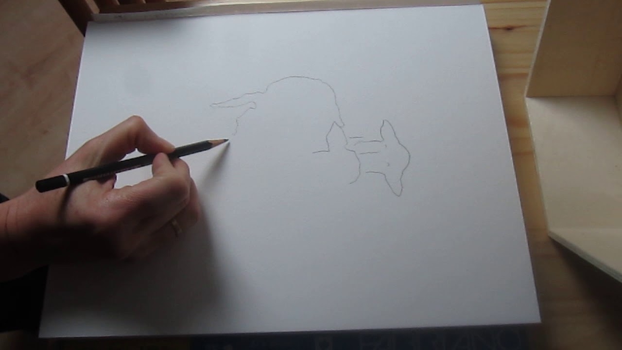 Tracing a Drawing with NeoLucida XL - YouTube