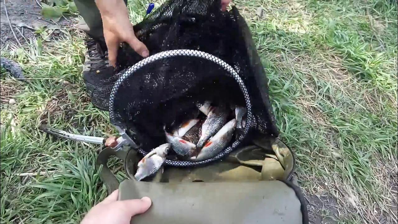 Ведро Aquatic (арт. В 04) - YouTube