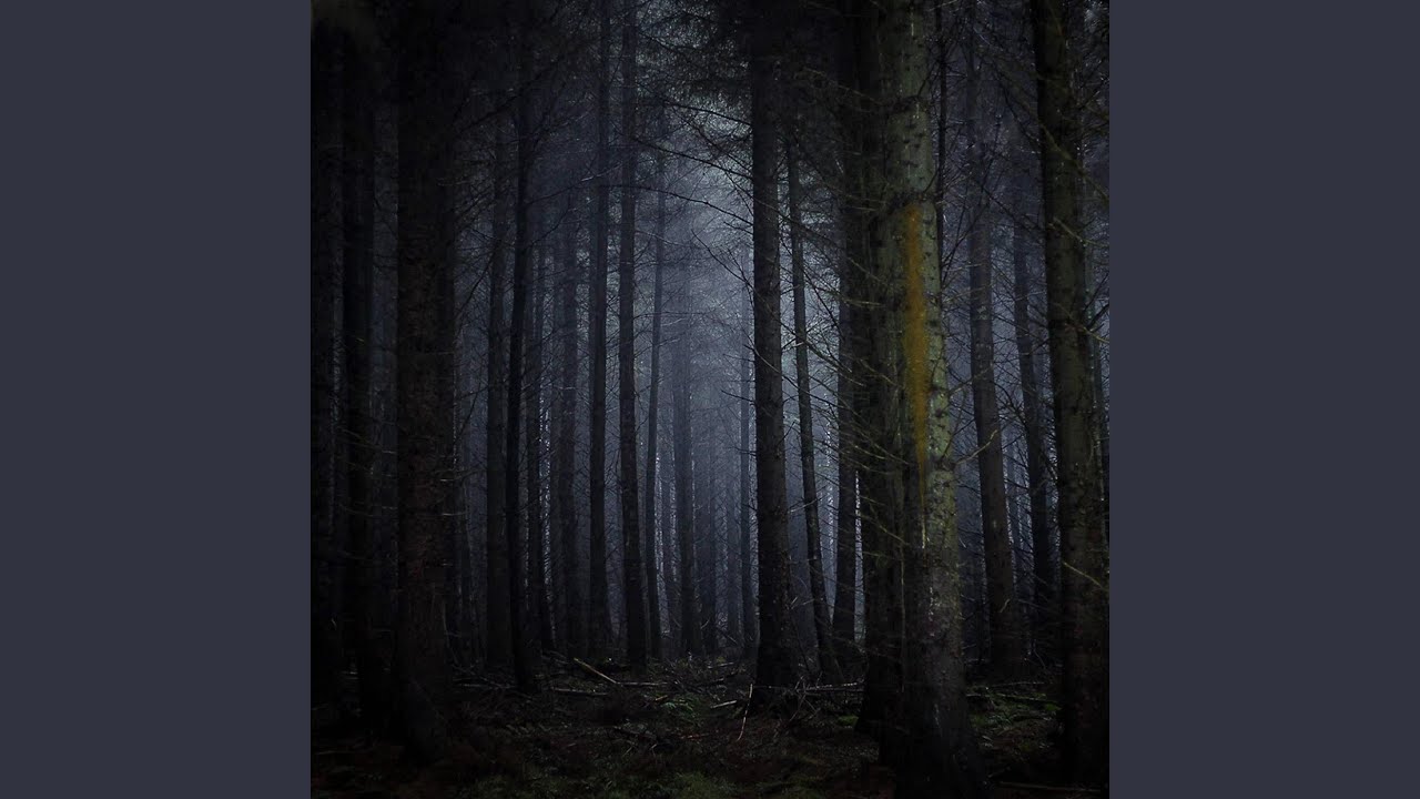 Idèe Fixe - YouTube Music