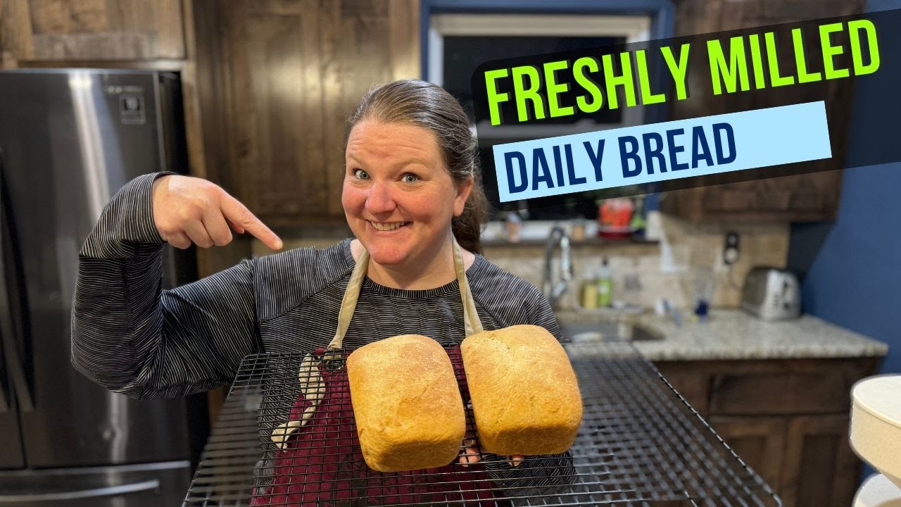 Baking Bread With Fresh Milled Flour | Homemade Daily Loaf - YouTube
