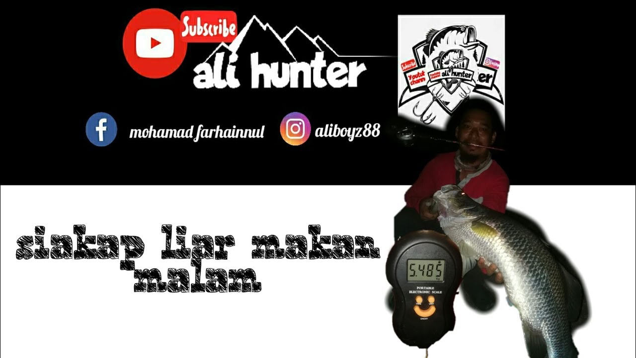 siakap liar mkn malam by ali hunter - YouTube