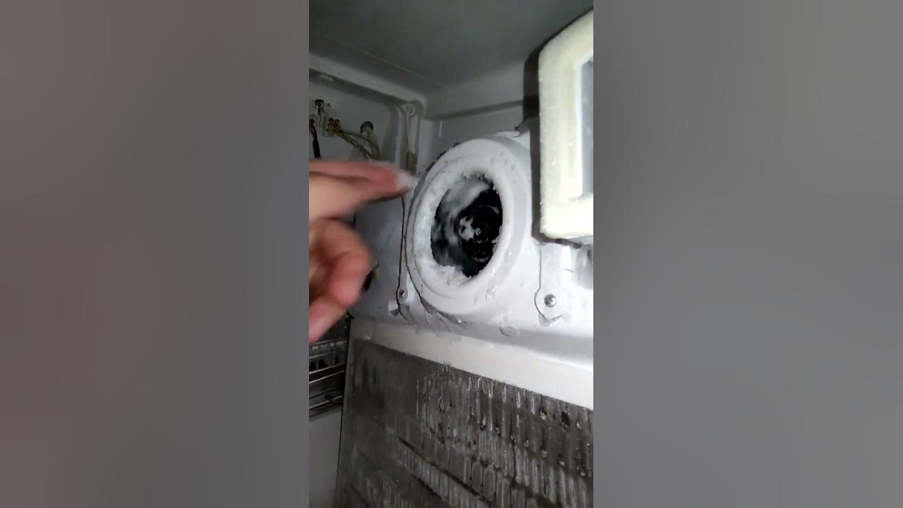 Наглядно почему холодильники с саморазморозкой надо периодически ...