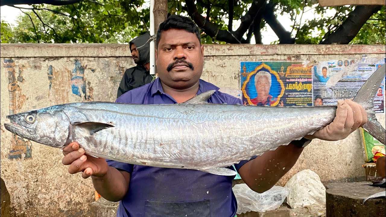 KASIMEDU 🔥 SPEED SELVAM | BIG KING SEER FISH CUTTING VIDEO | 4K VIDEO ...