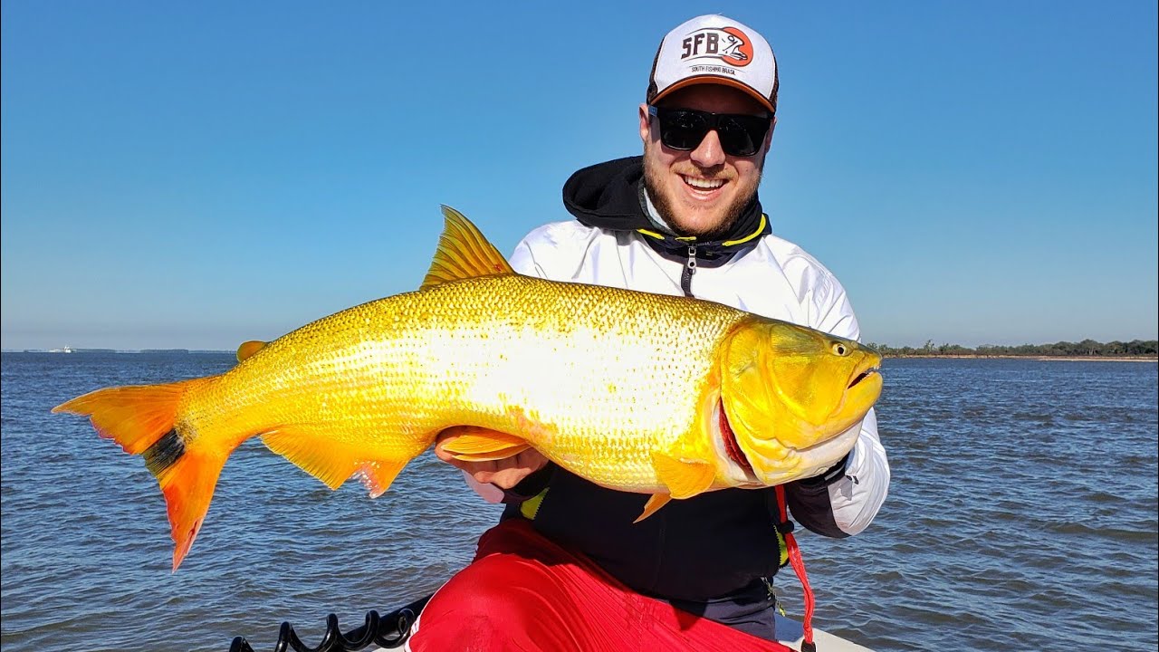 #214 - O REI DO RIO - PESCARIA DE DOURADO NA ARGENTINA - ESQUINA ...