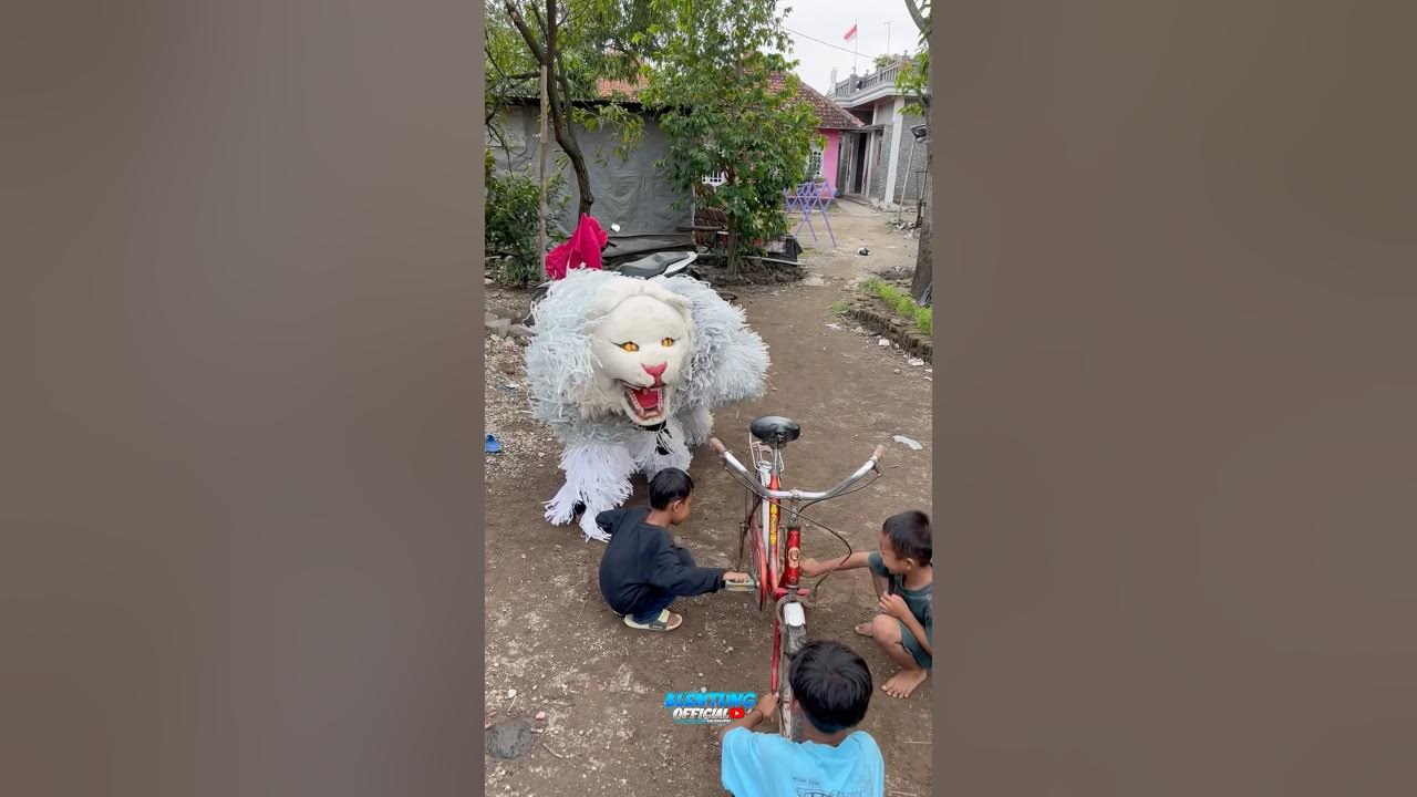 Bocil lagi mainan sepeda digigit can macanan temanya bantuin - YouTube