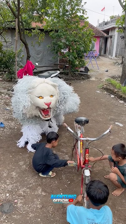 Bocil lagi mainan sepeda digigit can macanan temanya bantuin - YouTube