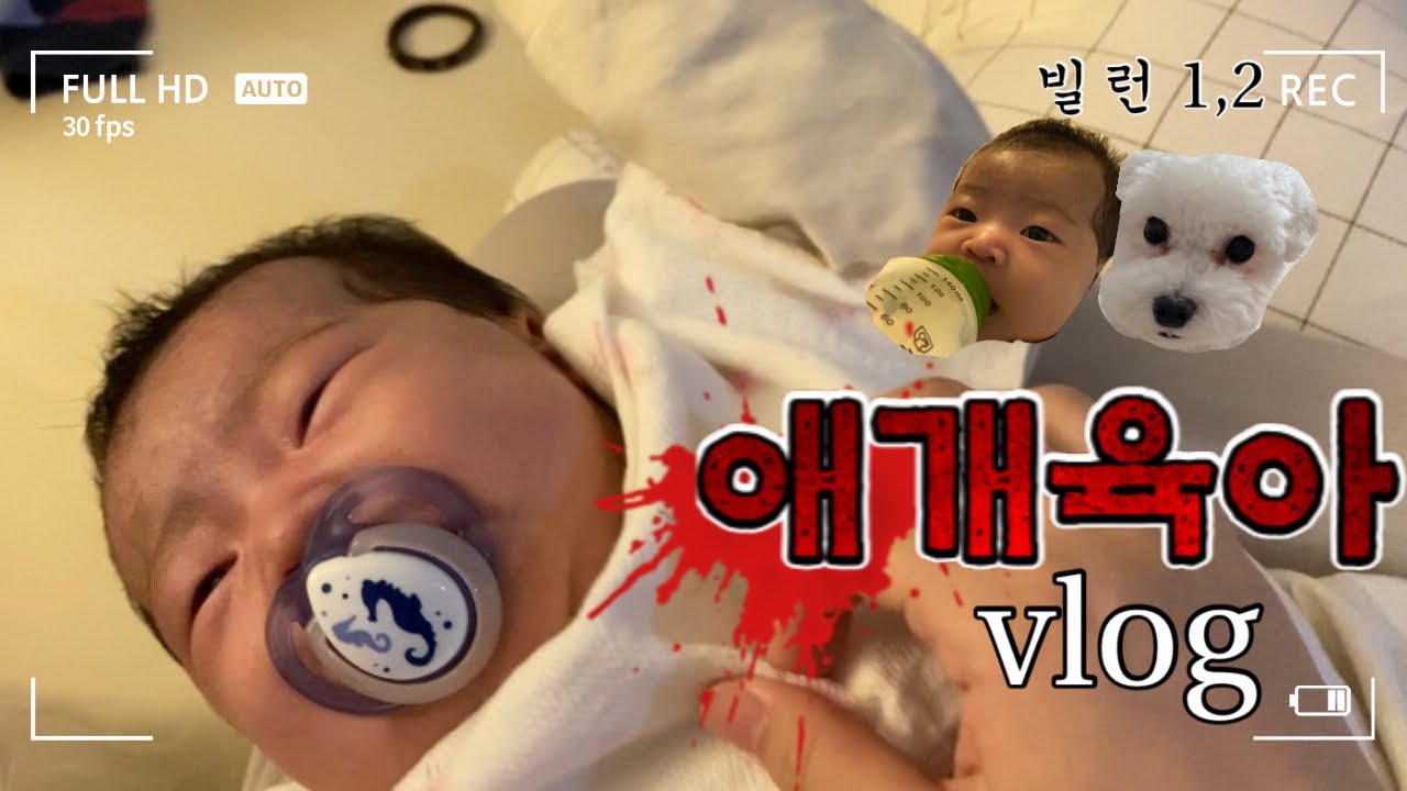 애개 육아 Vlog 원더윅스 이겨내기 👶🏻🐶 육아 육아브이로그 육아일기 애개육아 Youtube