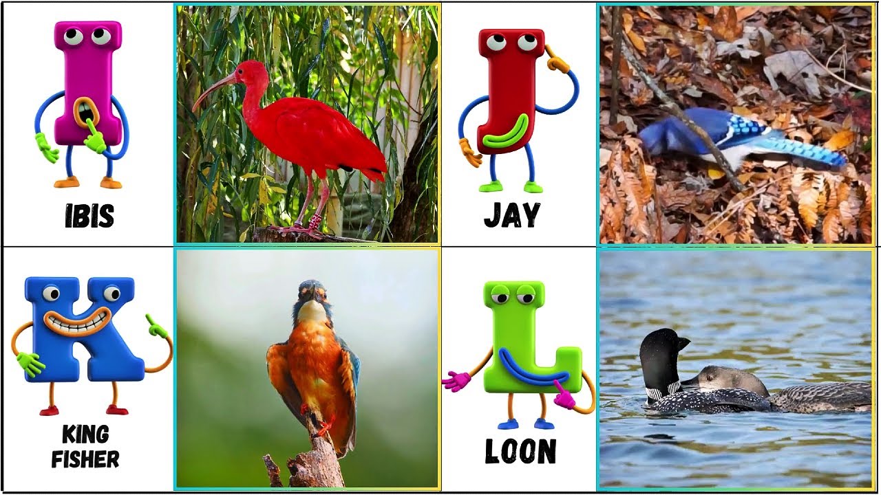 ABC Flying Animals Song for Kids | Learn English and Animals #abcd ...