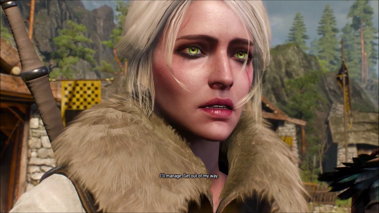 The Witcher 3 Wild Hunt - Battle preparations - Final boss fight - YouTube