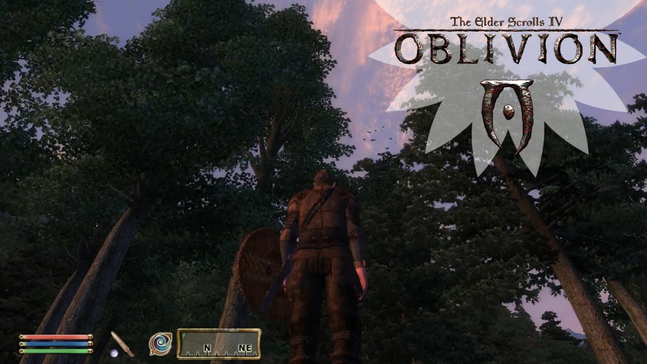 THE ELDER SCROLLS IV OBLIVION PC ITA | Parte 3 - Jauffre e Maghi! - YouTube
