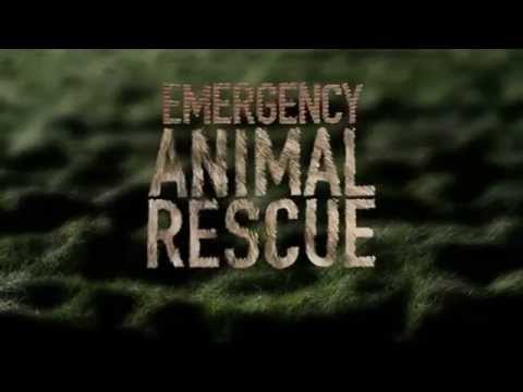 Emergency Animal Rescue - Sky One HD - YouTube