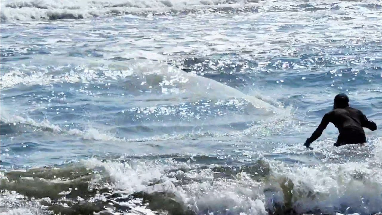 las vijio y les lanzó la atarraya - YouTube