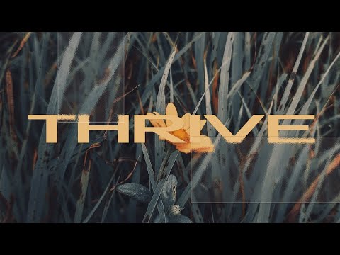 Thrive: From Head to Heart: Jun 1 2025 - YouTube