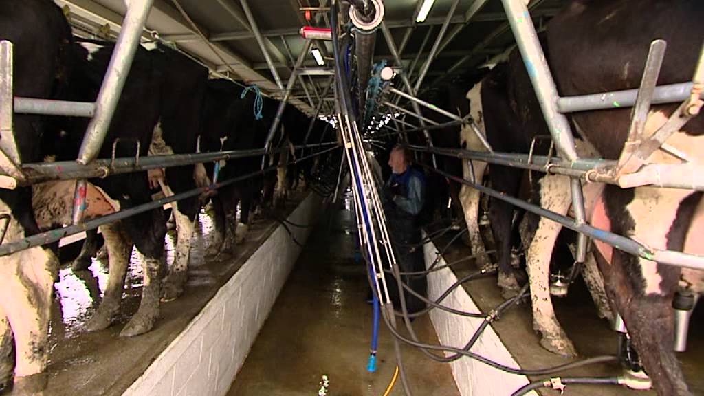 Cluster Changing - YouTube