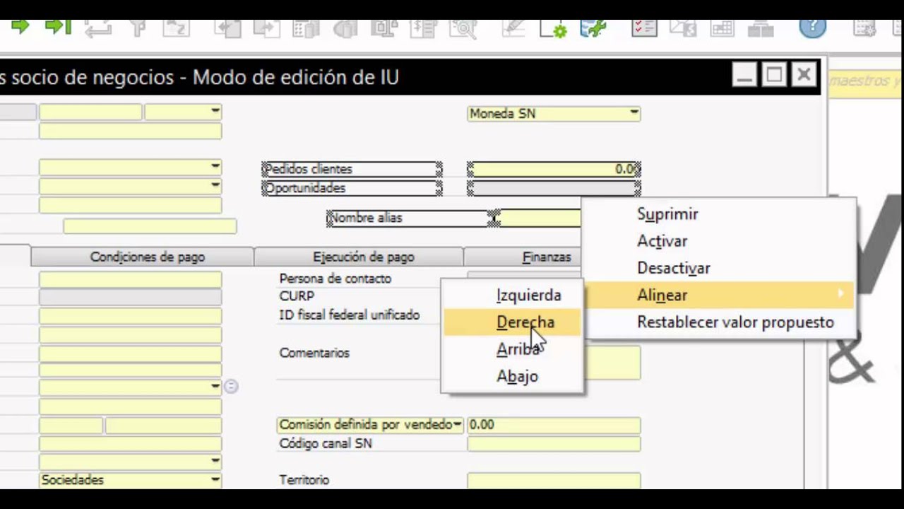 Modificar la interfaz de usuario en SAP Business One (UI) - YouTube