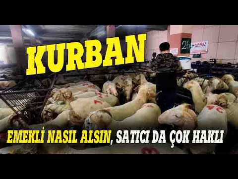 KURBAN FİYATLARI, EMEKLİ DE, SATICI DA İSYANDA- SOKAK RÖPORTAJI