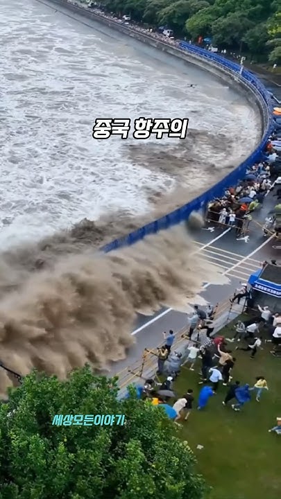 신기한 자연현상보다 더 신기한현상 - YouTube