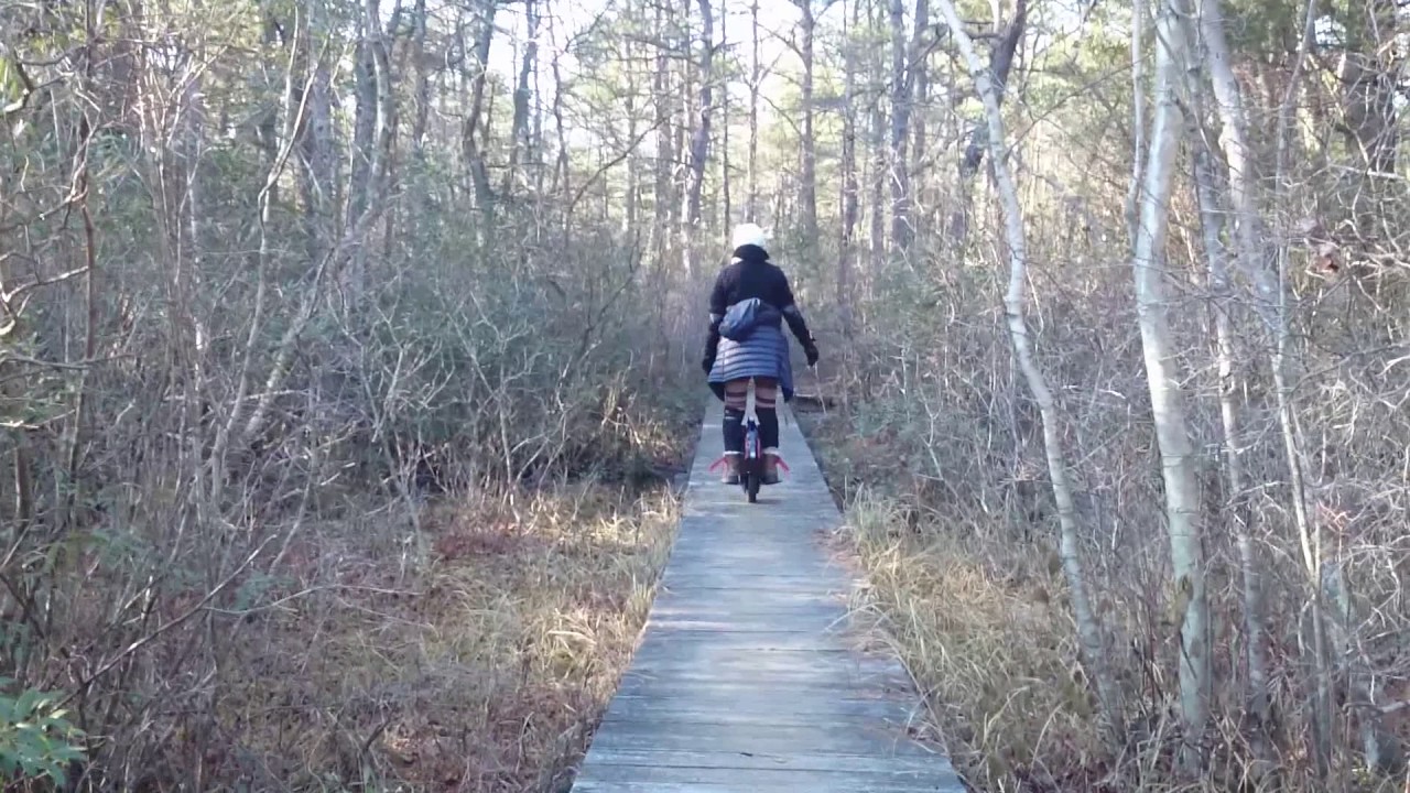 Forest Trail Slalom - Feb 6, 2017 - YouTube