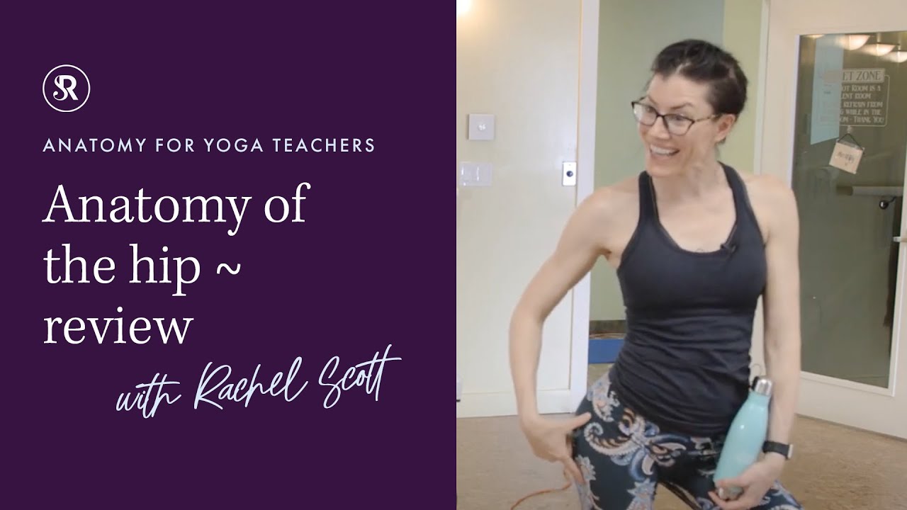 Learn Yoga Anatomy: Anatomy of the Hip - Review - YouTube