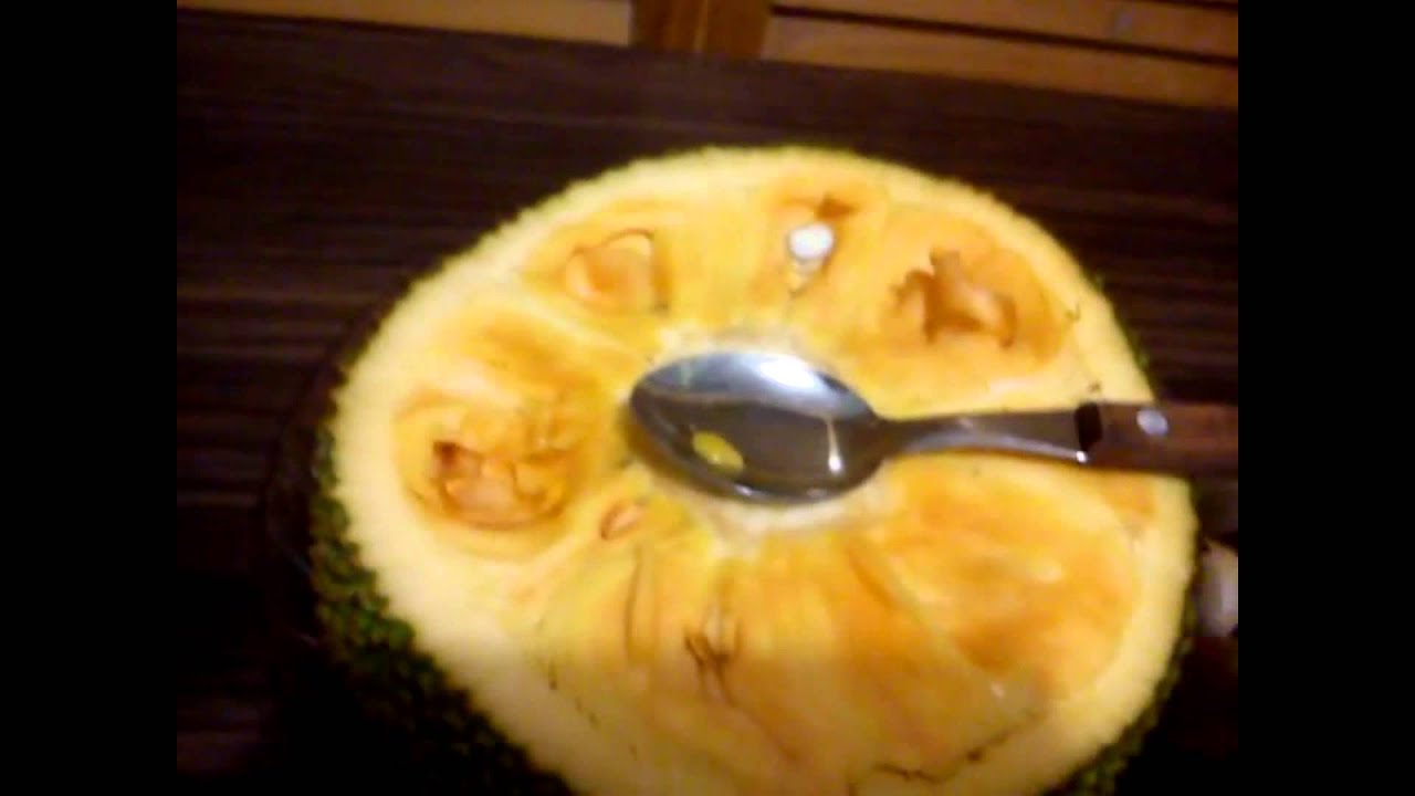 LA Yaca, (información en general) - YouTube