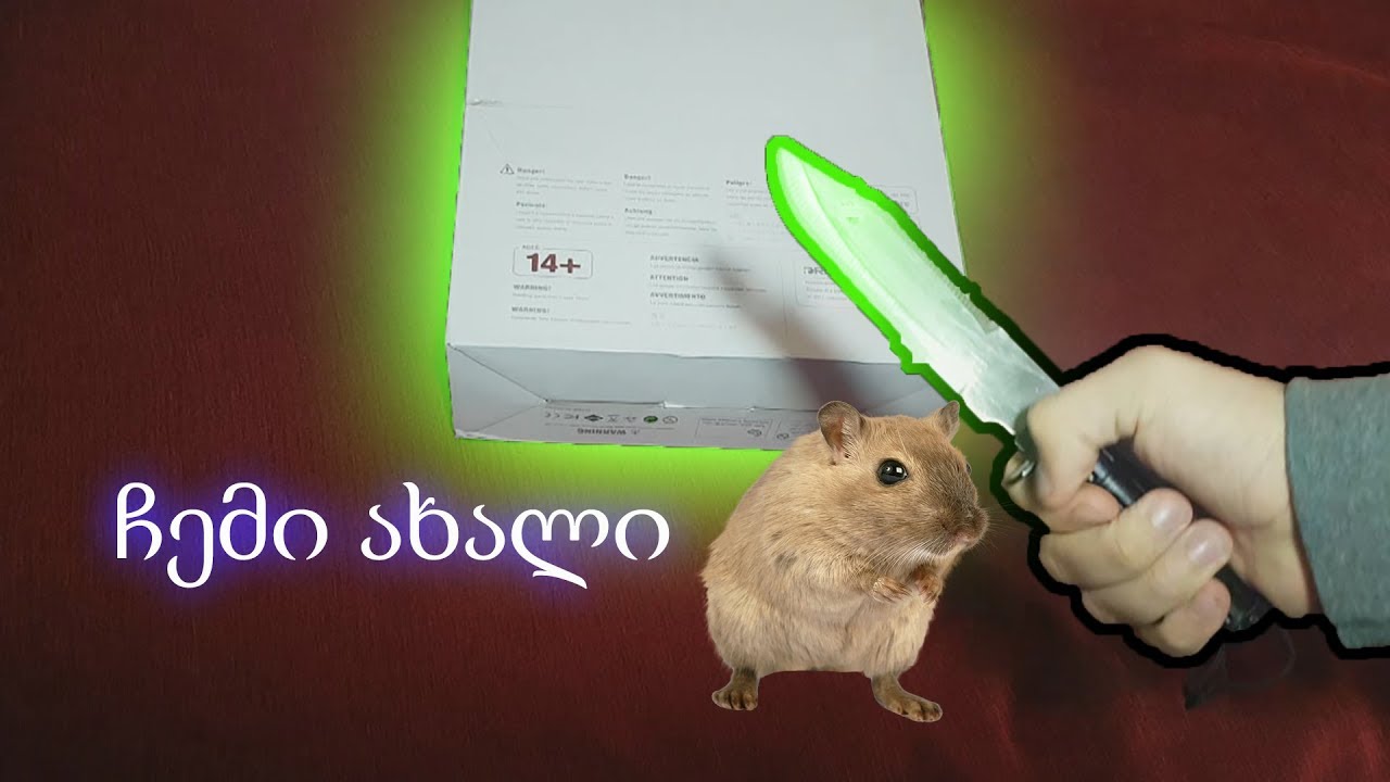 ჩემი ახალი მაუსი 2.0!! Ma Niu Maus 2.0 | სეთაფის ნაწილი - YouTube